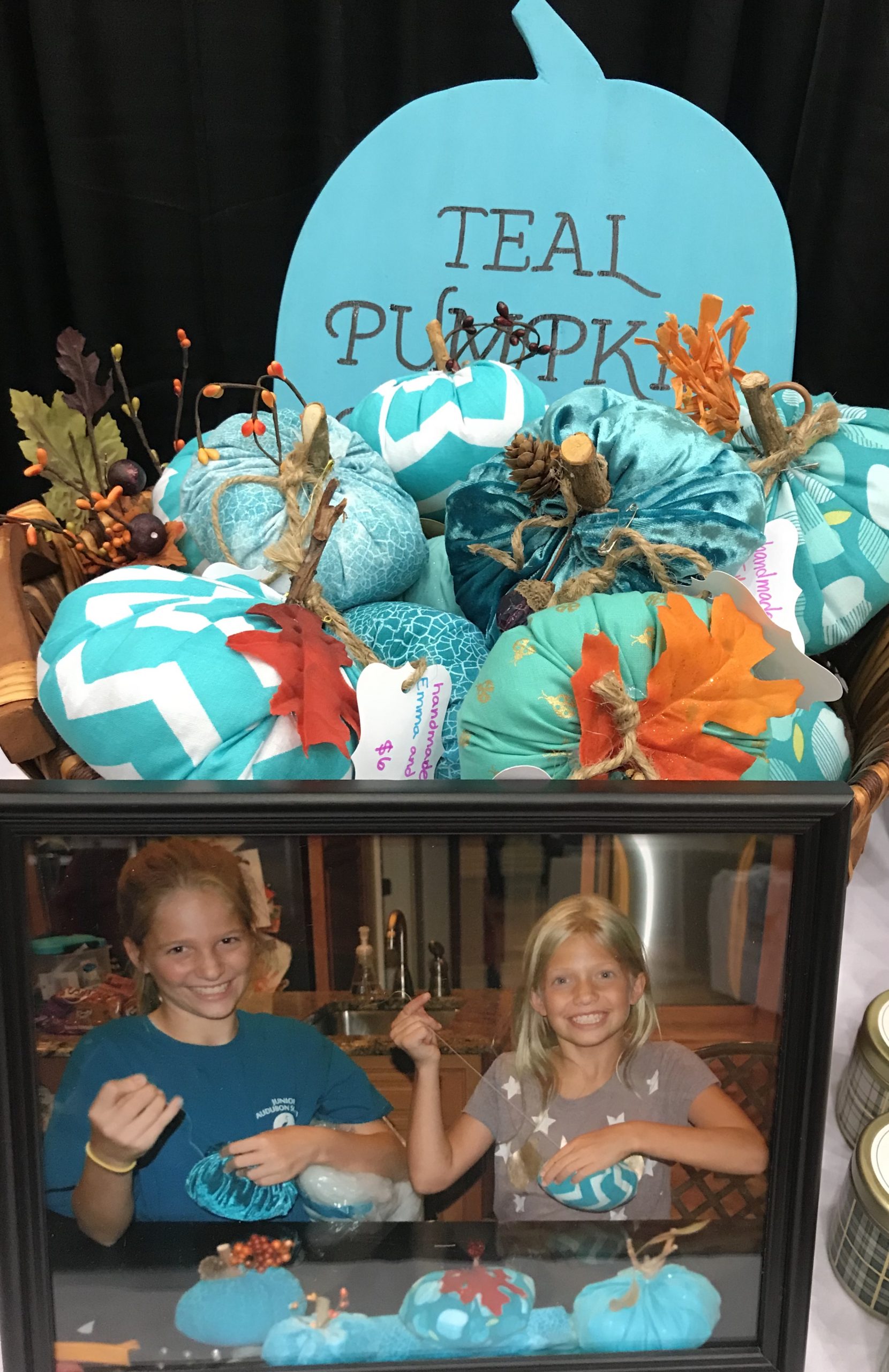 Teal Pumpkin Project - Kippi at Home