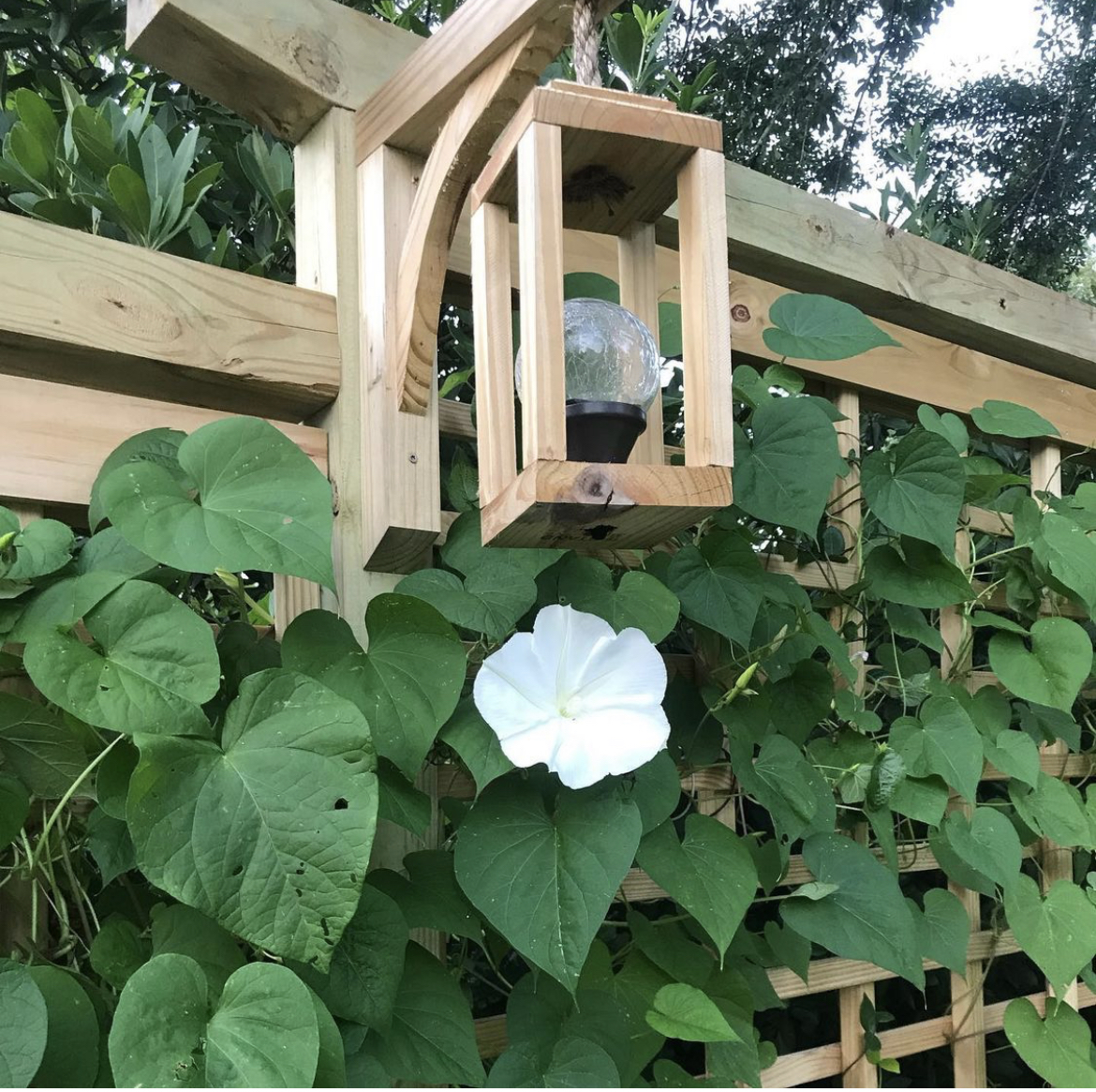 DIY Garden trellis, Lanterns solar light, trellis free how to plans ...