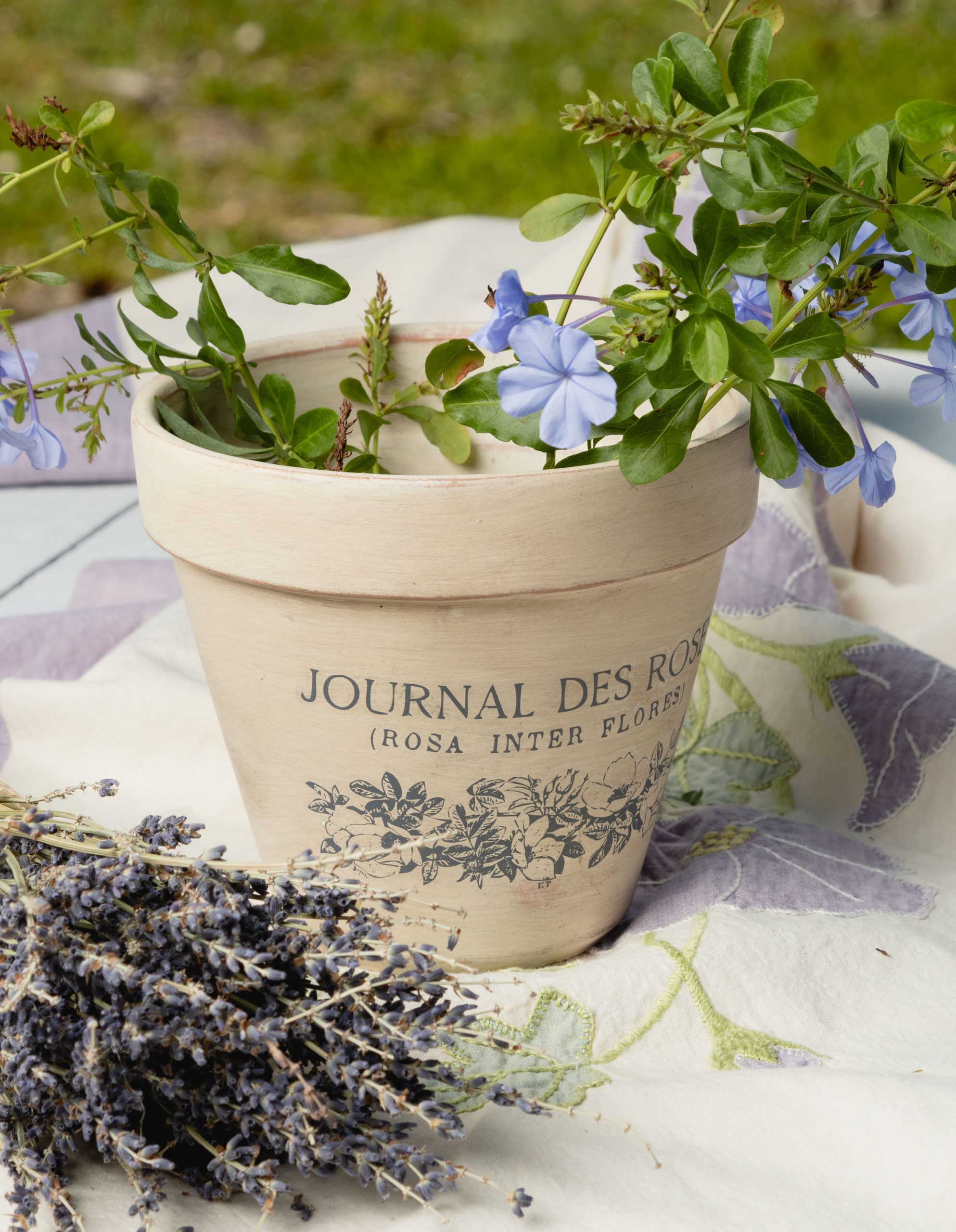 Easy Transfers - Kippi at Home