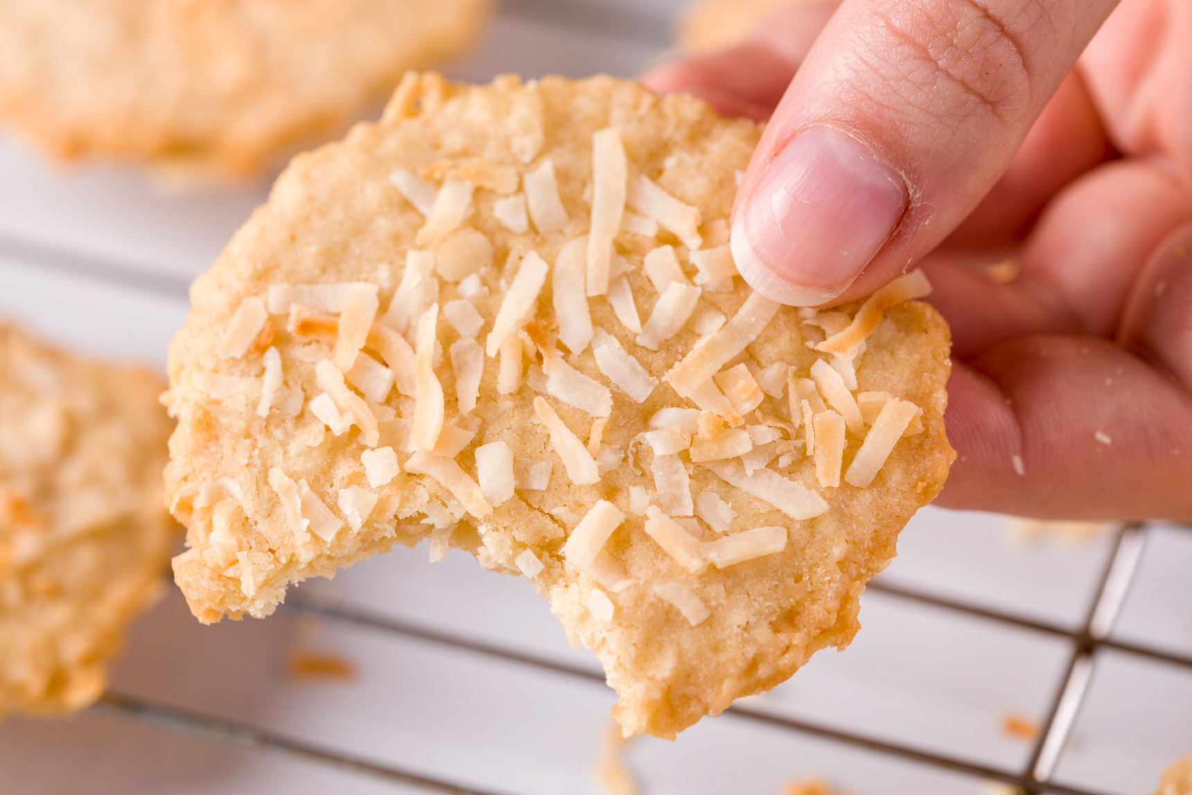 Easy Christmas Cookies , Quick and Easy Recipes