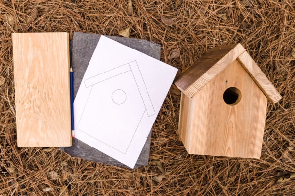 DIY Birdhouse Plans – Easy Tutorial - Kippi at Home