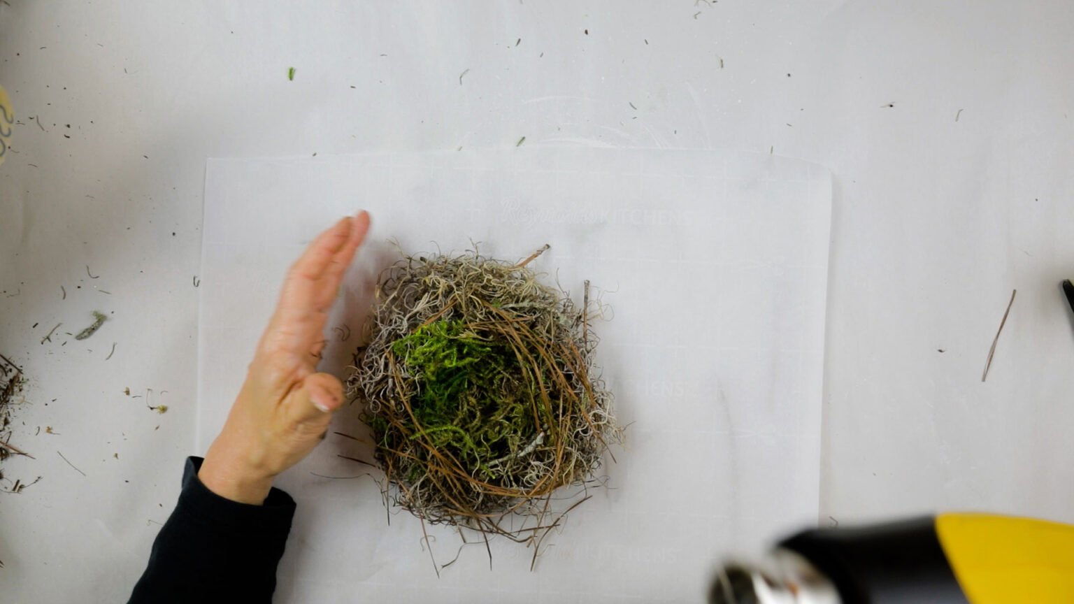 How to Make a Bird’s Nest - Kippi at Home