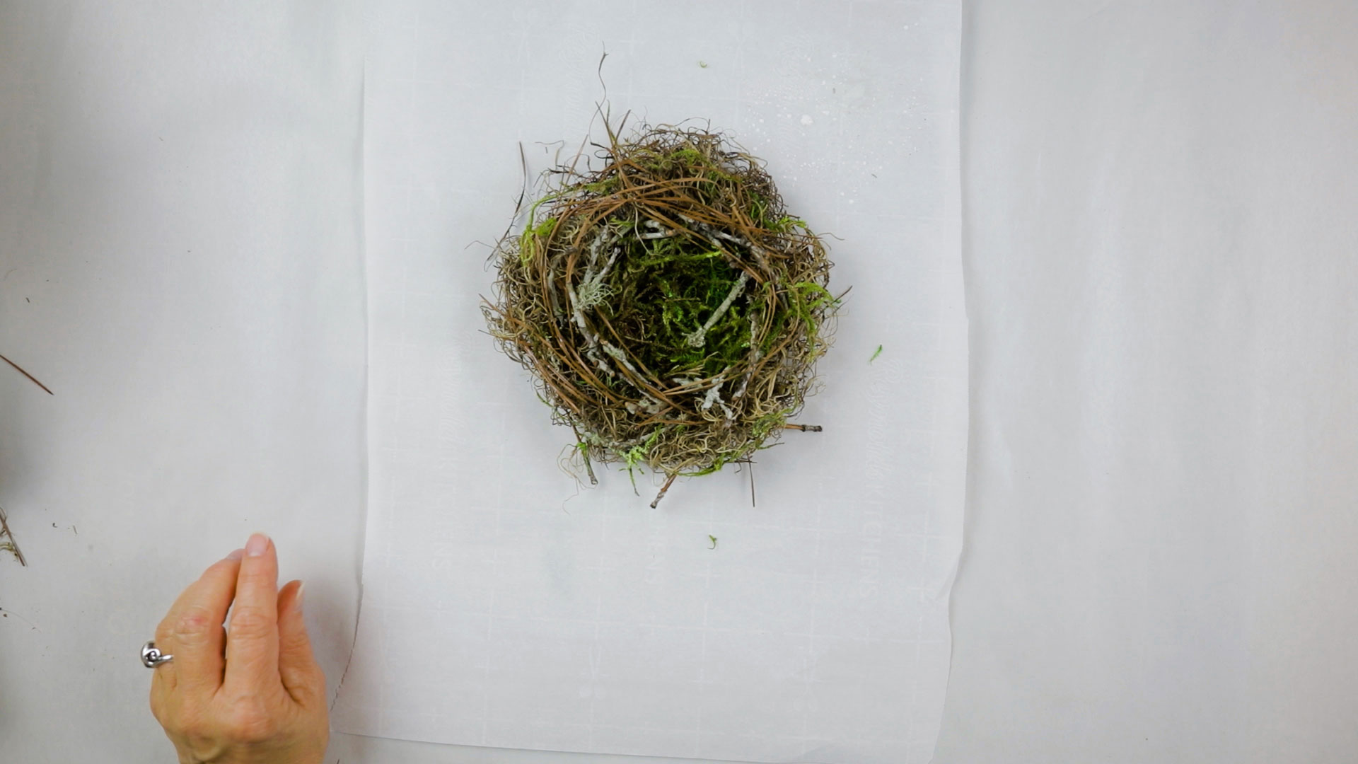How to Make a Bird's Nest, Using Natural Elements, Spring Decor