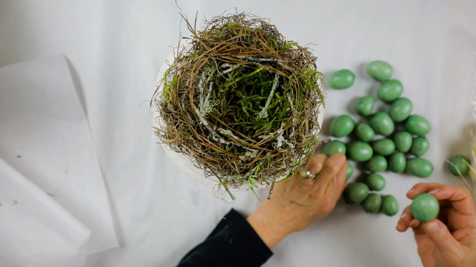 How to Make a Bird’s Nest - Kippi at Home