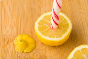 Lemon Stick - Kippi at Home