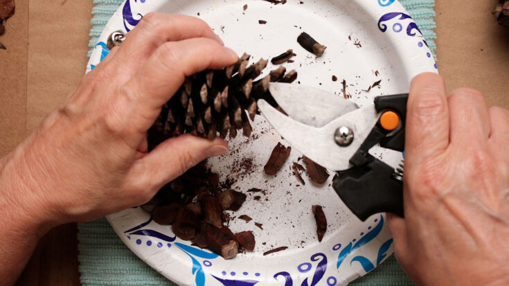 Pine Cone Christmas Trees DIY - Kippi at Home
