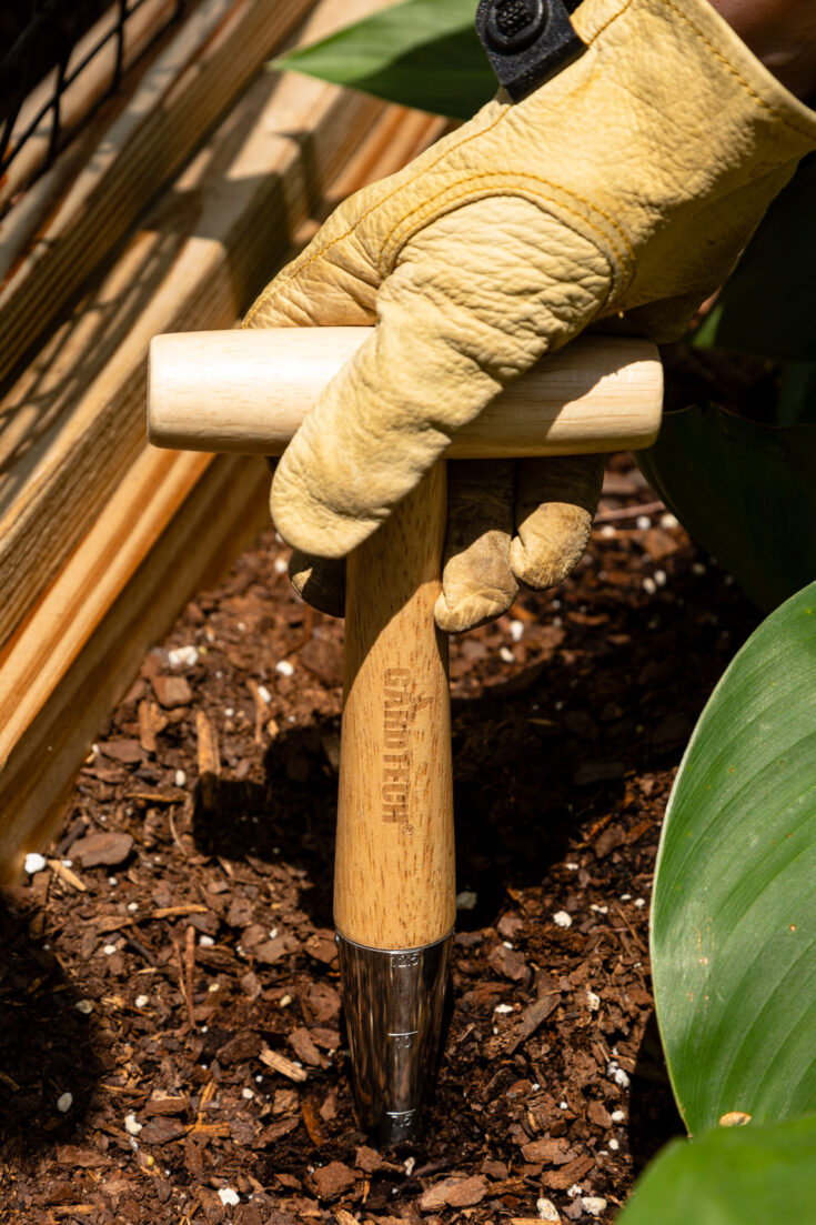 Planting Flowers Step by Step Guide - Kippi at Home