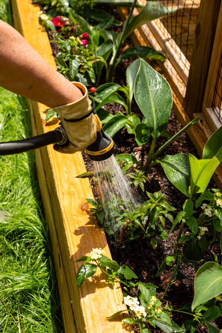 Planting Flowers Step by Step Guide - Kippi at Home