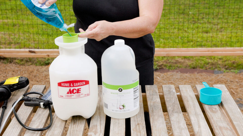 Homemade Weed Killer - Kippi at Home