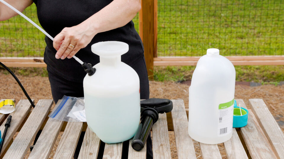 Homemade Weed Killer - Kippi at Home