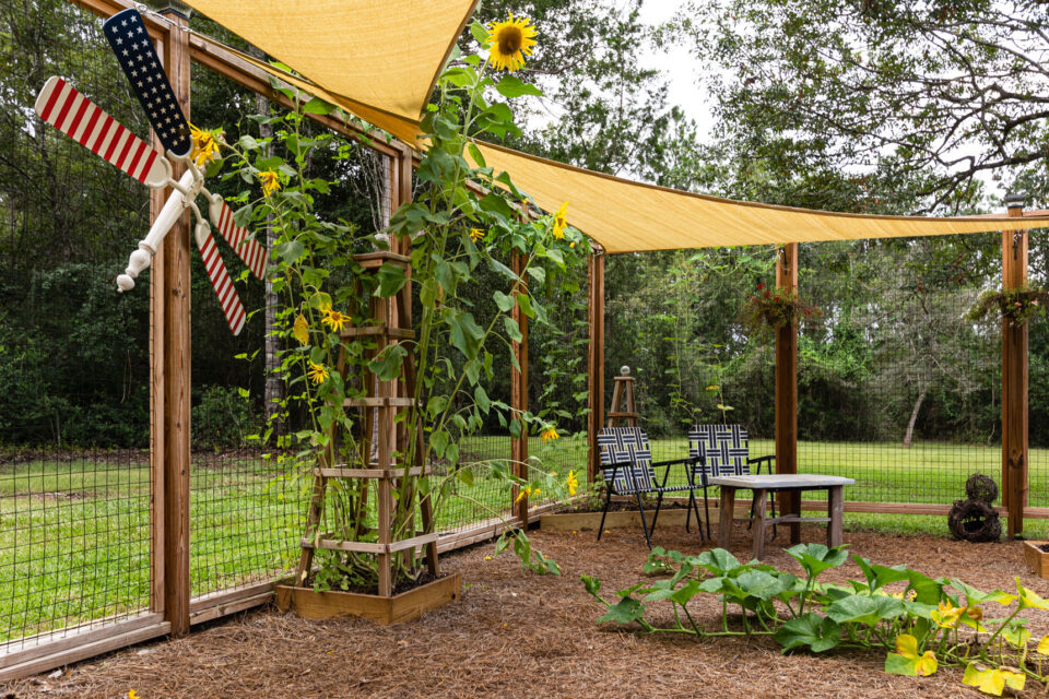 Shade Sail Installation - Kippi at Home