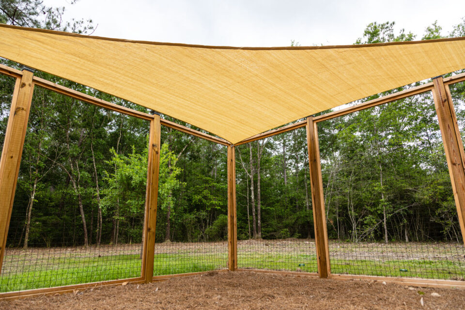 Shade Sail Installation - Kippi at Home