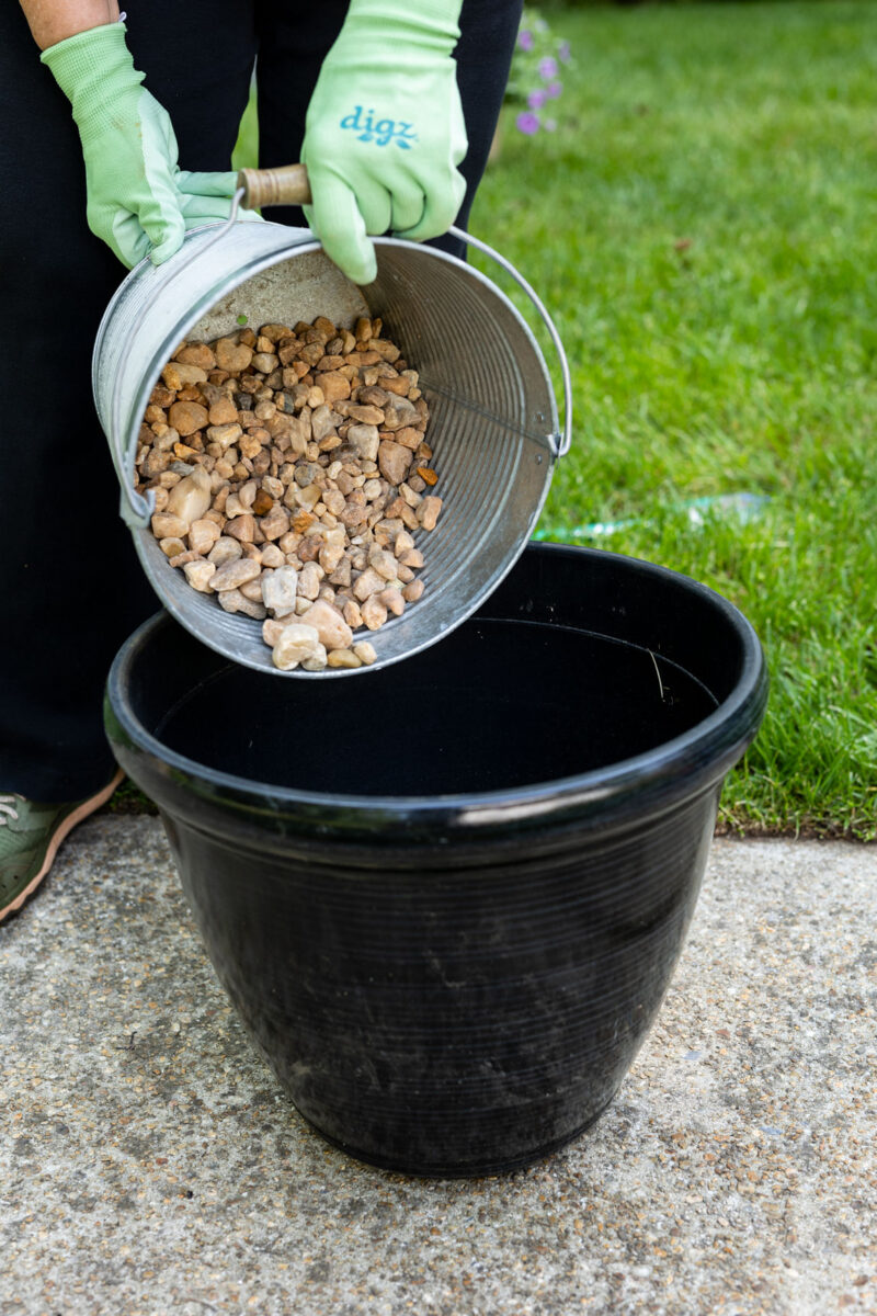 Container Gardening Guide - Kippi at Home