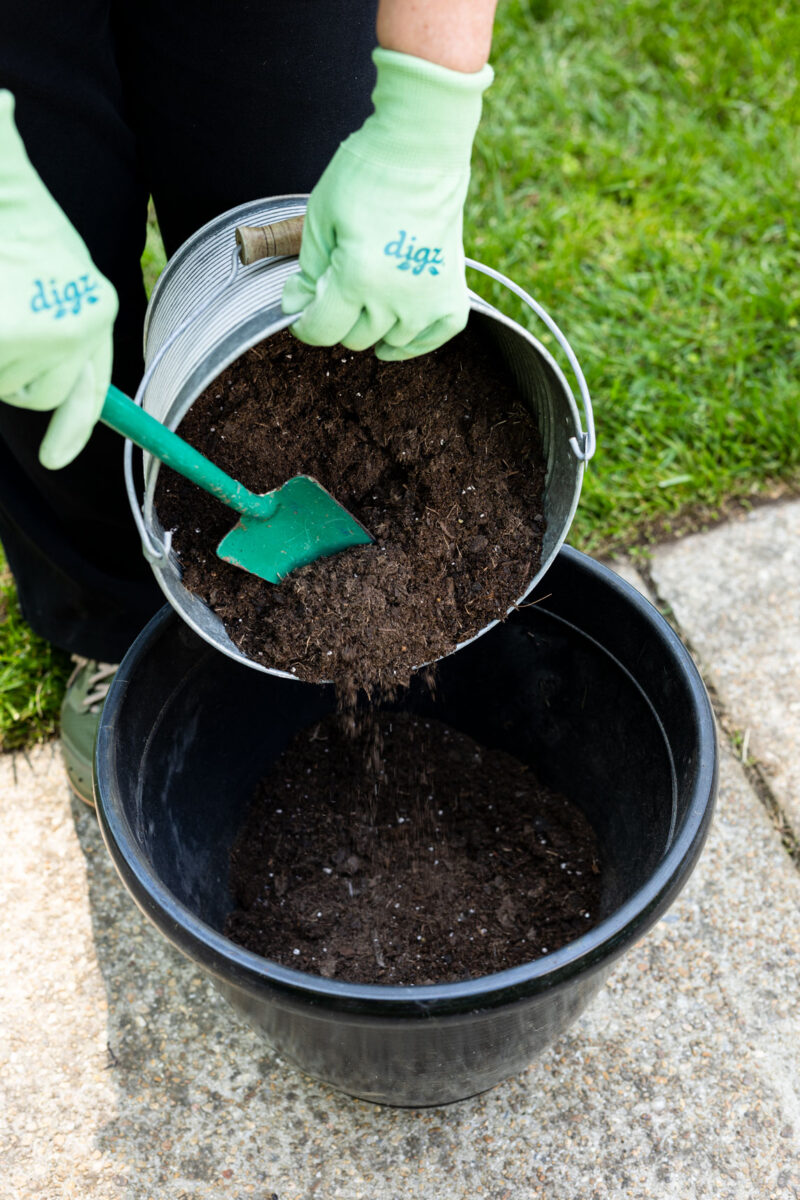 Container Gardening Guide - Kippi at Home