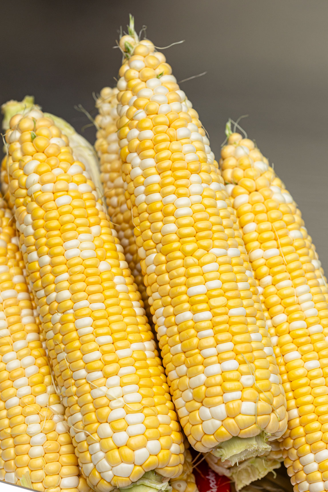 How to Grill Corn on the Cob - Kippi at Home